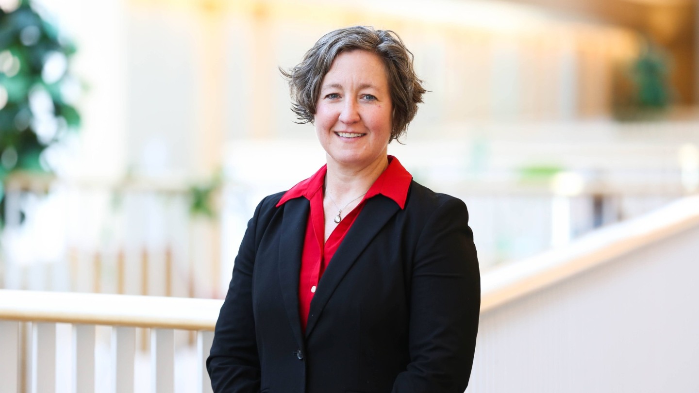 We Get What We Pay For: The Cycle of Military Spending, Industry Power ...